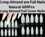 600Pc Long Almond Full Cover artificial Nails Tips Acrylic False Press ...