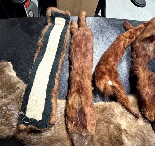 Vtg Mink Sable Full-Bodied Fur Stole Wrap Pelts With Head Feet Tails ...