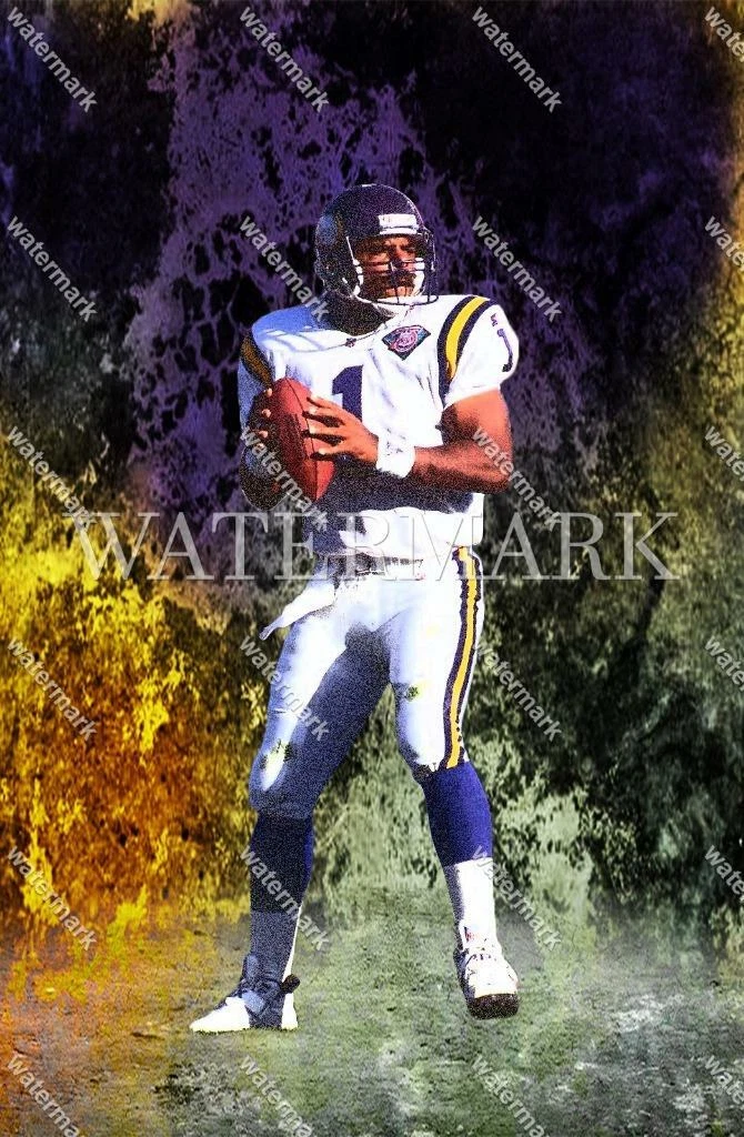 Warren Moon Vikings