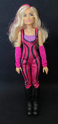 Mattel WWE Superstars Natalya Action Figure Fashion Doll Wrestling Diva ...