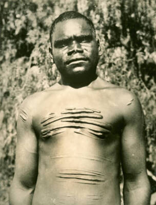 An Australian Aborigine showing tribal scars Northern Territory Au ...