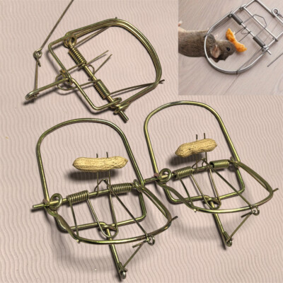 3 Units Small Animals Spring Traps Catch Traps Mouse Trap Rodent for ...