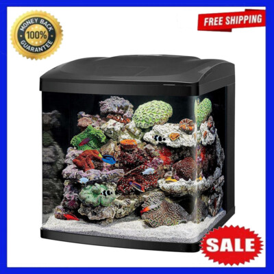 LED BioCube Aquarium Fish Tank Kit 32 Gallon Home Office Tabletop ...