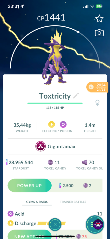 Shiny Toxtricity GIGANTAMAX Background Global Wild Area | eBay