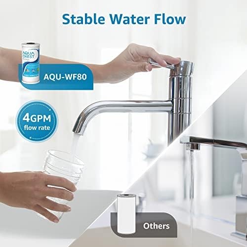 Whole house water filter replacement FXHTC compatible pack of two | eBay