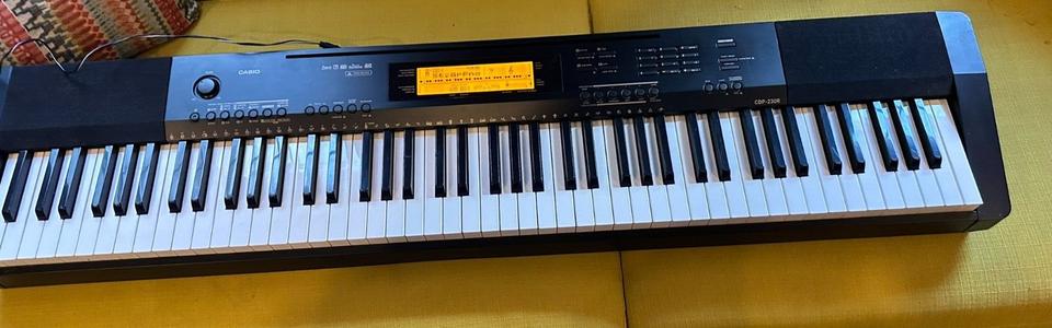 Casio Digital Keyboard & Sampler CDP-230RBK | eBay