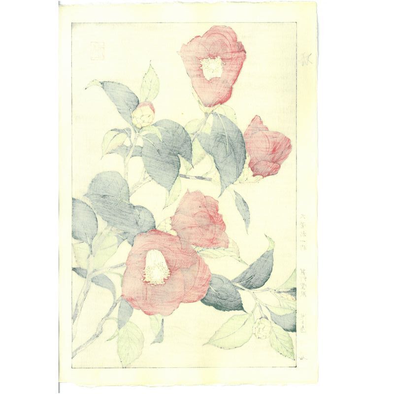 Yuichi Osuga F175 Camellia Woodcut print Hanga Kyoto JAPAN UNSODO BRAND ...