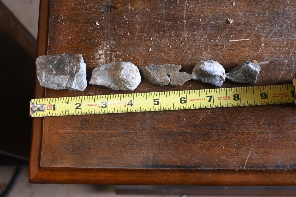 Stegosaurus Fossil Bone Cabin Quarry Jurassic Wyoming WY LOT OF 5 | eBay