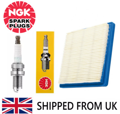 Briggs & Stratton Quantum Service Kit Air Filter NGK BR2LM Spark Plug ...