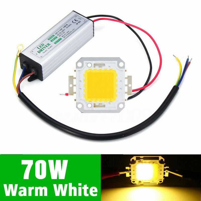 LED Driver + COB Chip 100W 50W 30W 20W 10W Power Supply Transformer ...