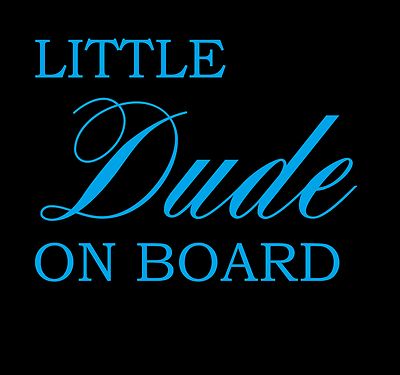Little Dude on Board Baby Vinyl JDM Boy Car 4x4 Decal Sticker Gift ...