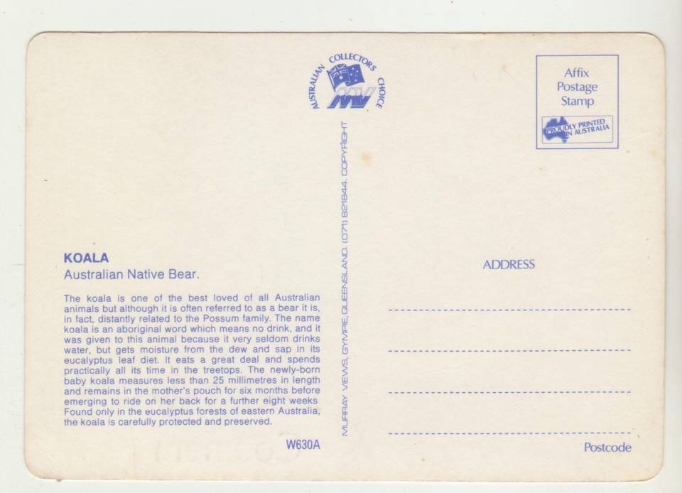 KOALA - KOALA TOWN COOMERA GOLD COAST QLD ACC POSTCARD | eBay