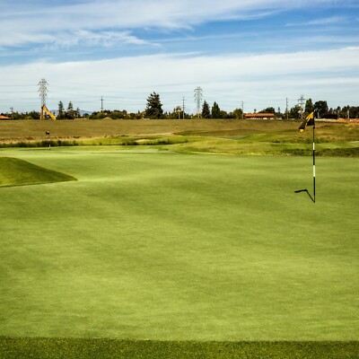 1 oz Pure Select CREEPING BENTGRASS Seed Golf Putting Greens No Grain ...