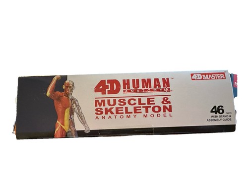 4D Master Human Anatomy Muscle & Skeleton Model (2008) Brand New ...