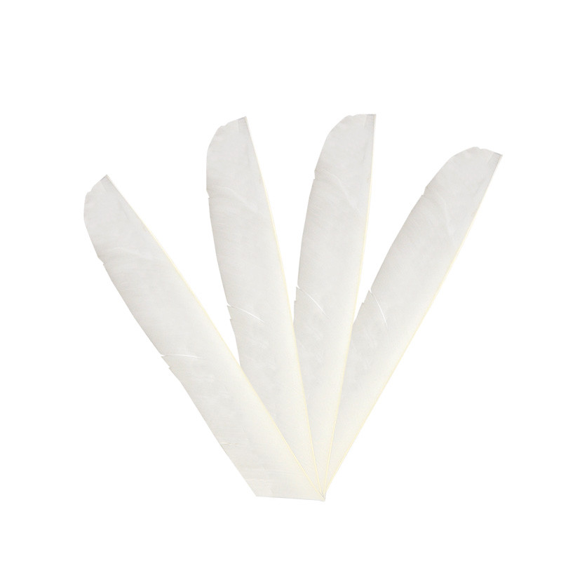 50X Archery Full Length Turkey Feather Vanes Left Wings Arrow Bow ...
