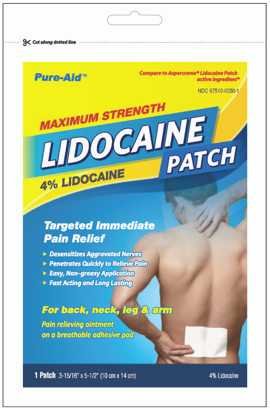 12 Pure-Aid 4% Lidocaine Pain Relief Patch Max Strength (1 Patch/Pk ...