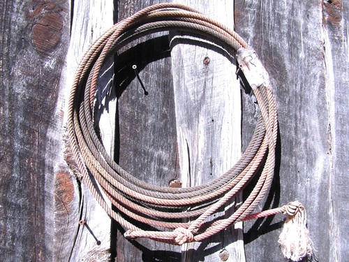 Vintage Old "Retired" Cowboy Lariat Lasso Rope Western Wall Decor, #RB ...