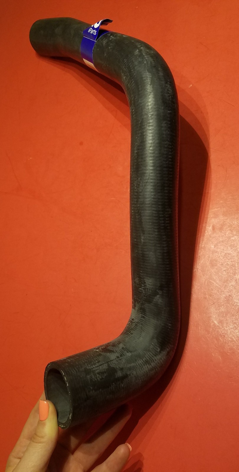 Engine Lower Radiator Cooling Hose For Jaguar XK8 2003-2006 URO NEW ...