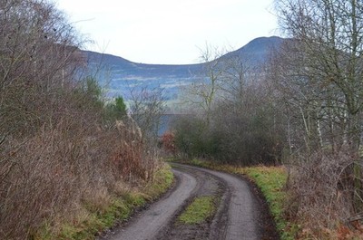 Photo 6x4 Ley Road, Darnick Melrose/NT5434 More like a track here, it ...