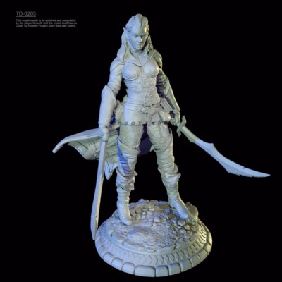 50mm resin figure model Mythical Sky Double Blade Elf 3D Printing ...