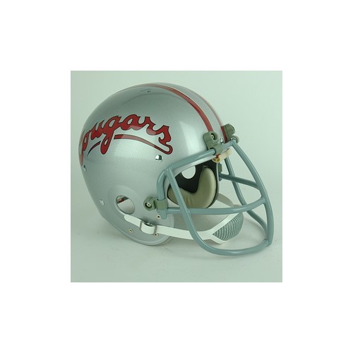 WASHINGTON STATE COUGARS 1978 Vintage Riddell TK Suspension Football ...