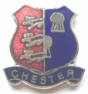 Chester England Small Quality enamel lapel pin badge T182 | eBay UK
