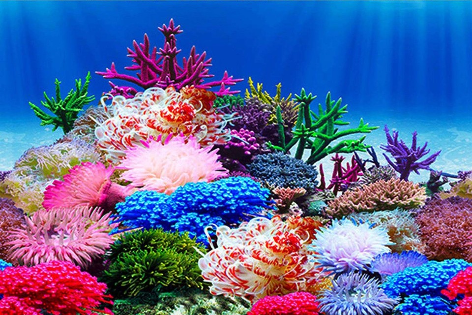 ELEBOX Fish Tank Stickers Wallpaper Seaweed Background Aquarium ...