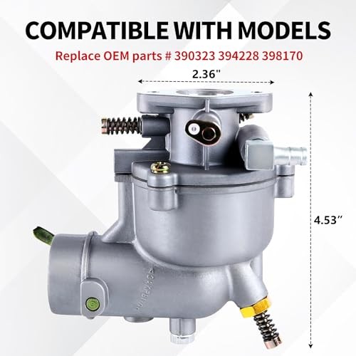 Carburetor for Briggs Stratton 194412 190432 190402 195422 190400 ...
