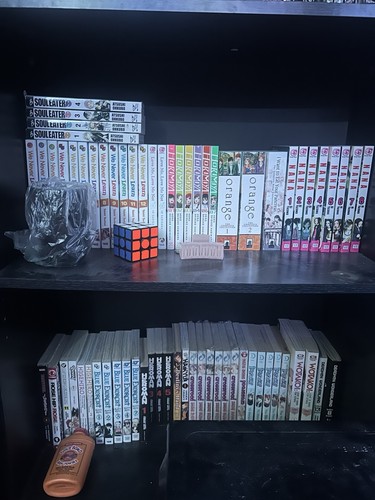 *ENTIRE MANGA LOT FOR SALE* | eBay