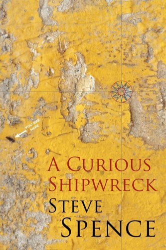 A Curious Shipwreck By Steve Spence 9781848610972| eBay