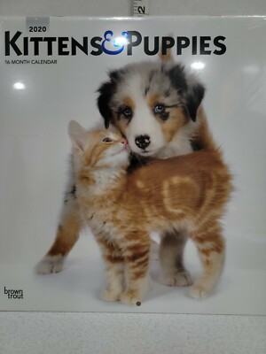 Kittens Puppies 2020 Calendar by Brown & Trout Beautiful Photos Crafts ...
