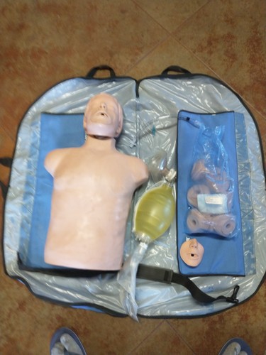 Adult CPR Manikins EMT Training Nursing School Practice Dummy & bag | eBay