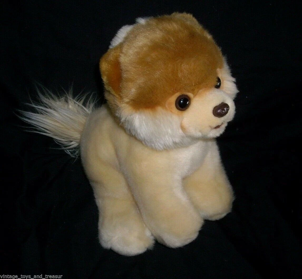 Baby Boo Dog