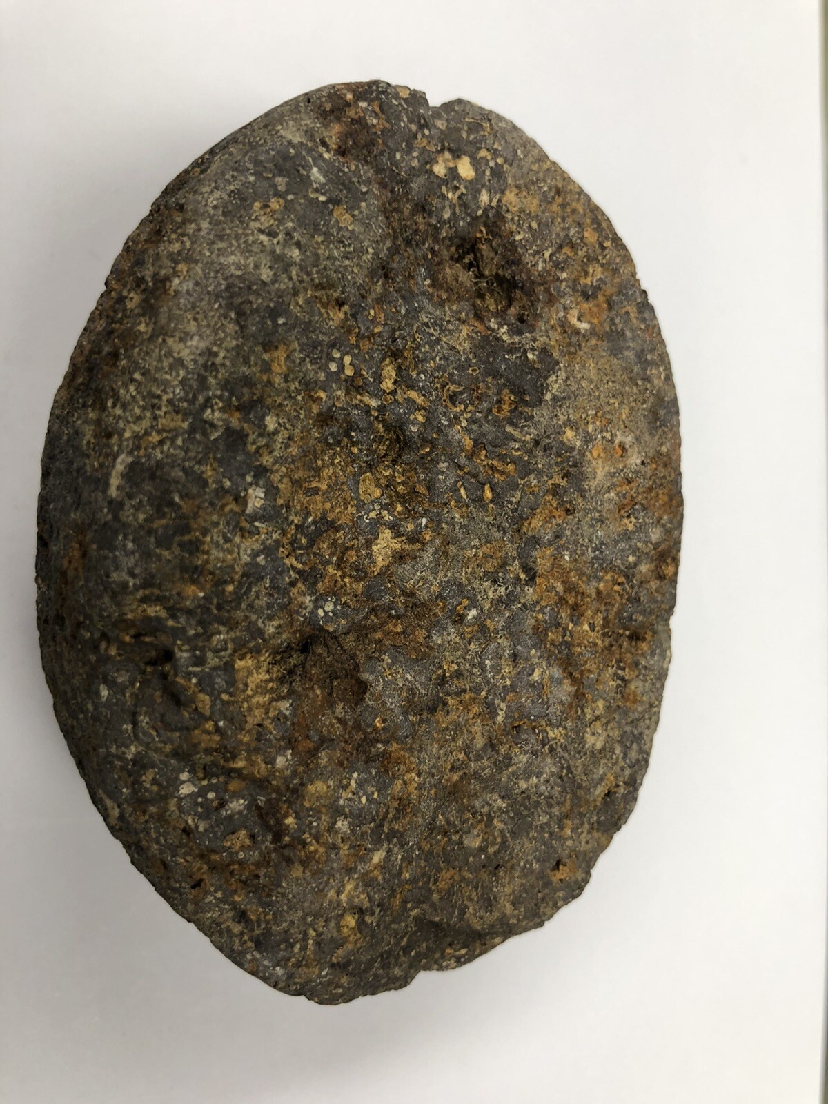 Hawaiian Stone Artifact -Squid Lure Sinker | eBay