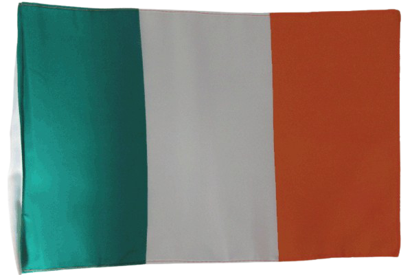 Courtesy Flag 1.5ft x 1ft Sleeved Polyester 180+ designs FREE P&P | eBay UK