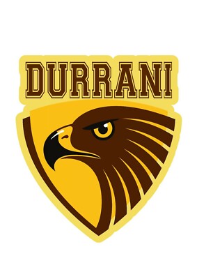 Footy Hawthorn Cake Topper. PERSONALISED Lolly Loot Bag Party Supplies ...