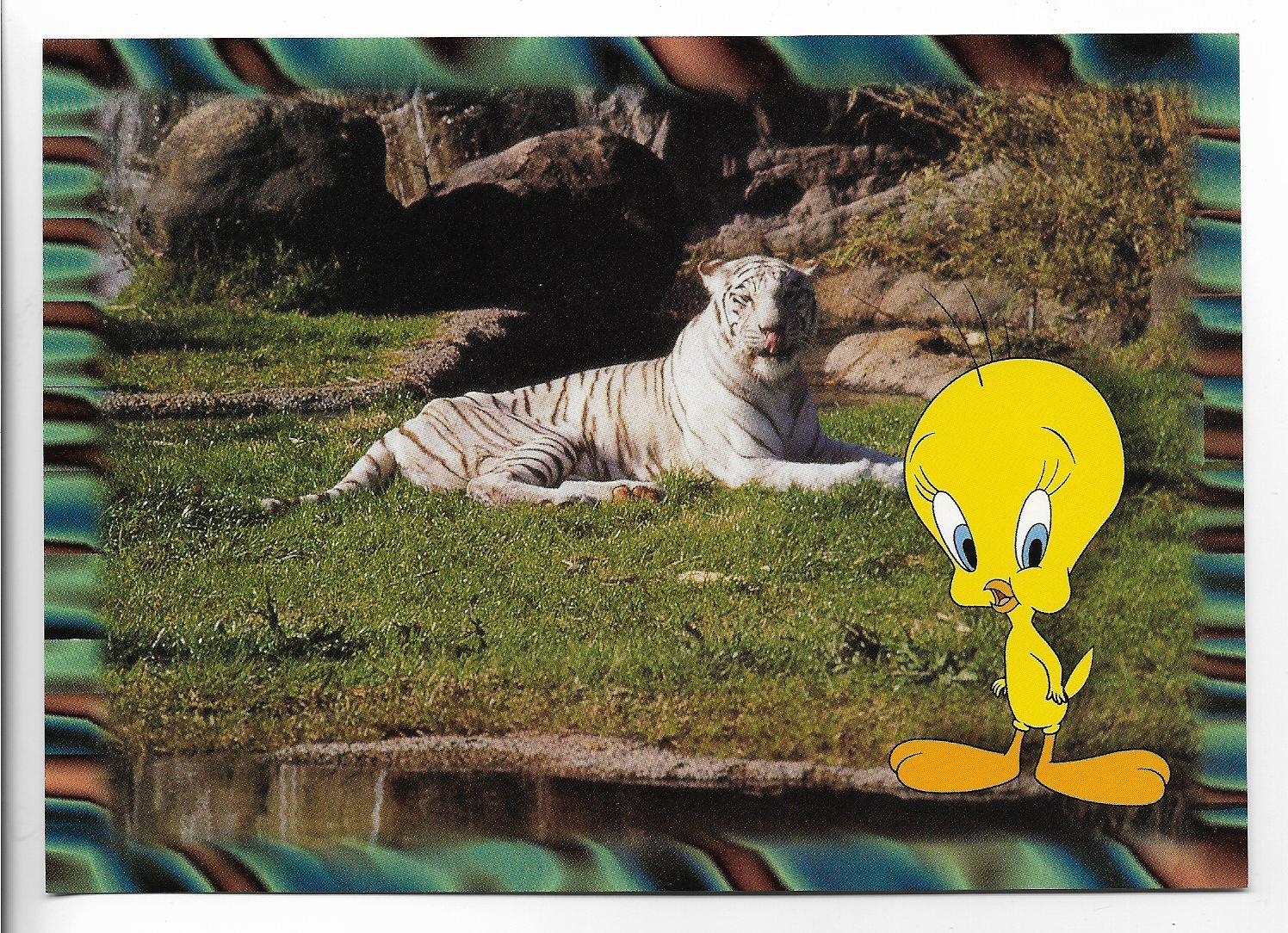 TWEETY BIRD & WHITE BENGAL TIGER~SIX FLAGS GREAT ADVENTURE PARK,JACKSON ...