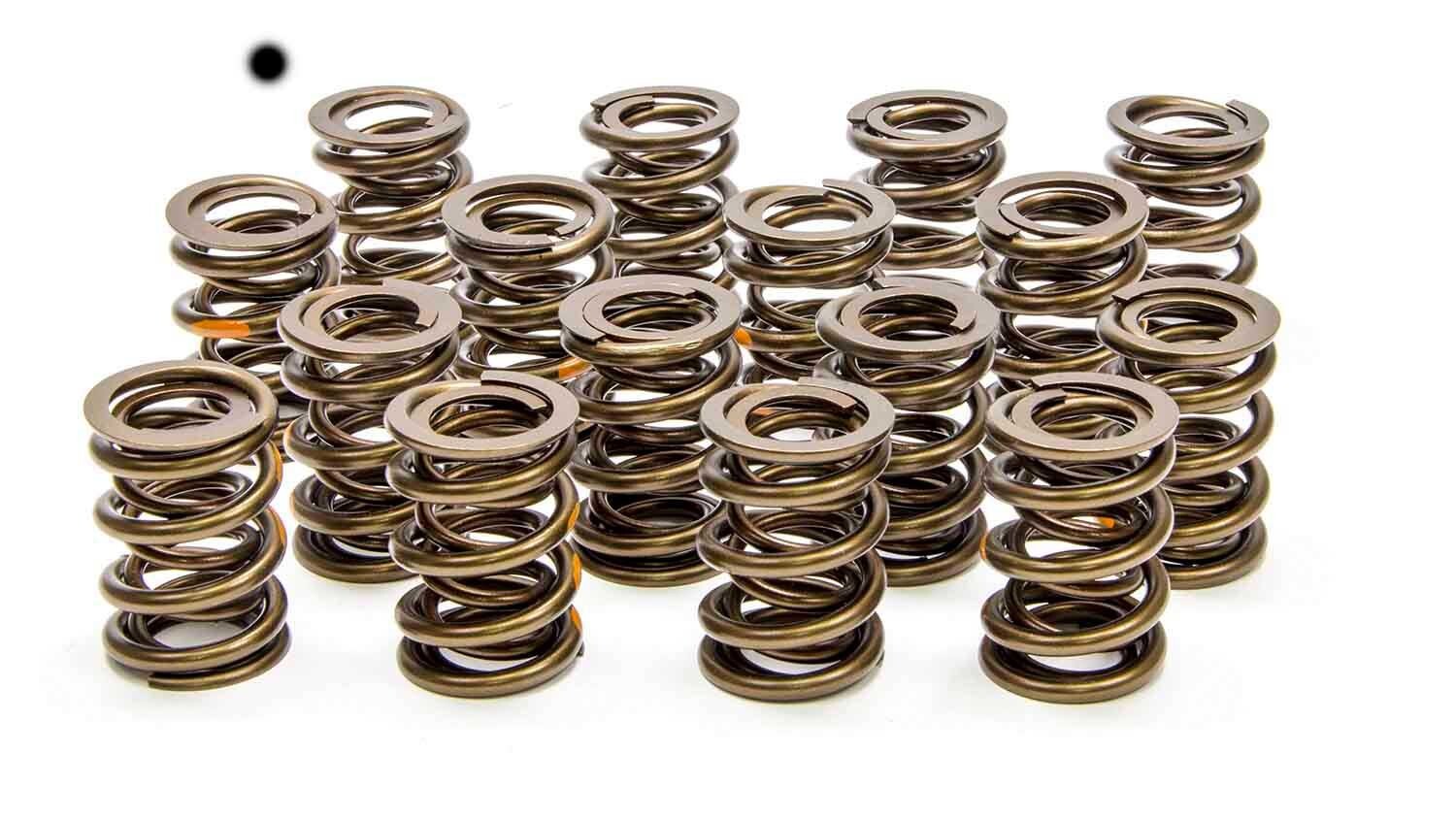 Lunati 73117-16 Dual w/o Damper Valve Spring Set 1.550 OD | eBay