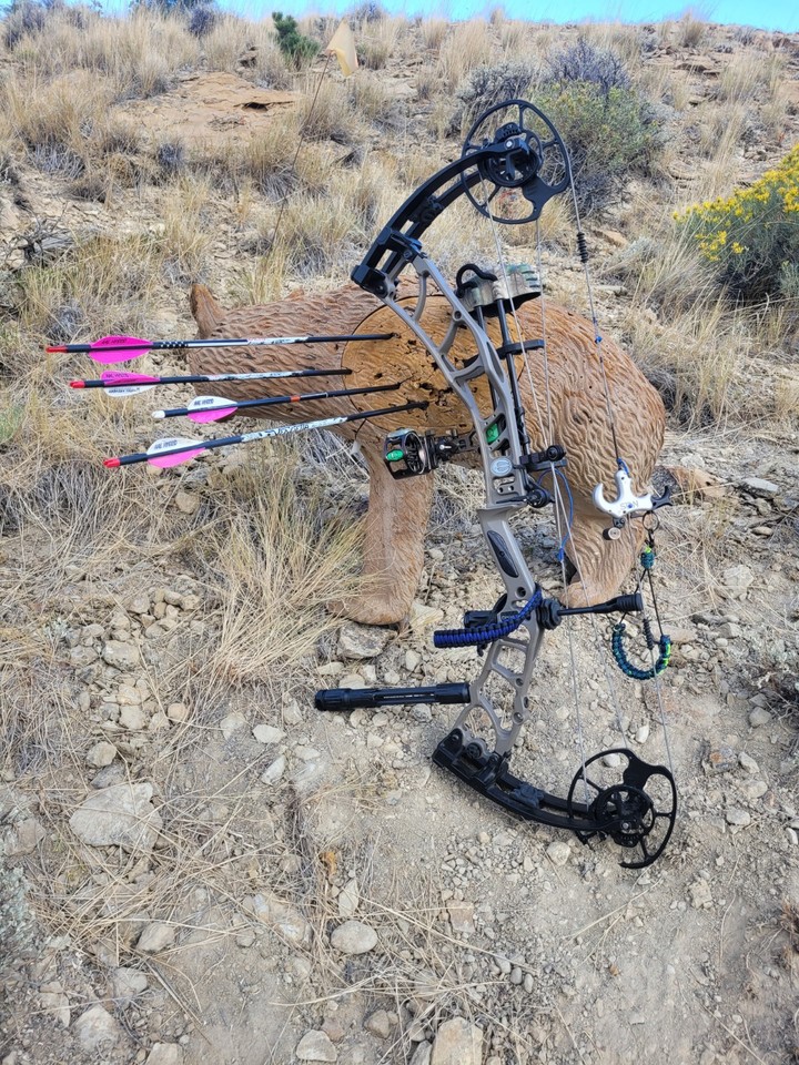 Elite Omnia 2023 Compound Bow RH 60-70 | eBay
