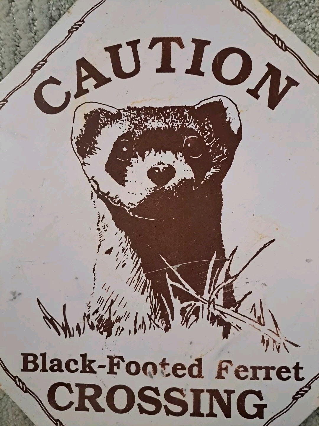 Tin Sign Caution Black-Footed Ferret Crossing Metal Tin Signs | eBay
