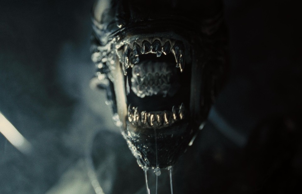 Alien: Romulus 2024 DVD Movie with Slip Cover All Region (Free Shipping ...