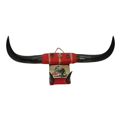 Mounted STEER BULL HORNS LONGHORN 21” Cowboy Western Coat Hat Rack ...