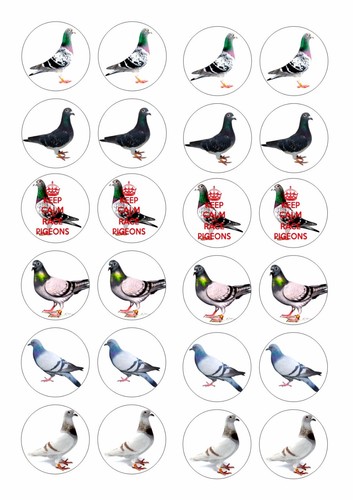 24 RACING PIGEON / PIGEONS CUPCAKE WAFER RICE EDIBLE FAIRY CAKE TOPPERS ...