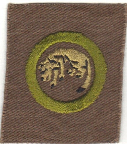 BOY SCOUT STALKING SQUARE MERIT BADGE (TYPE A) MINT | eBay