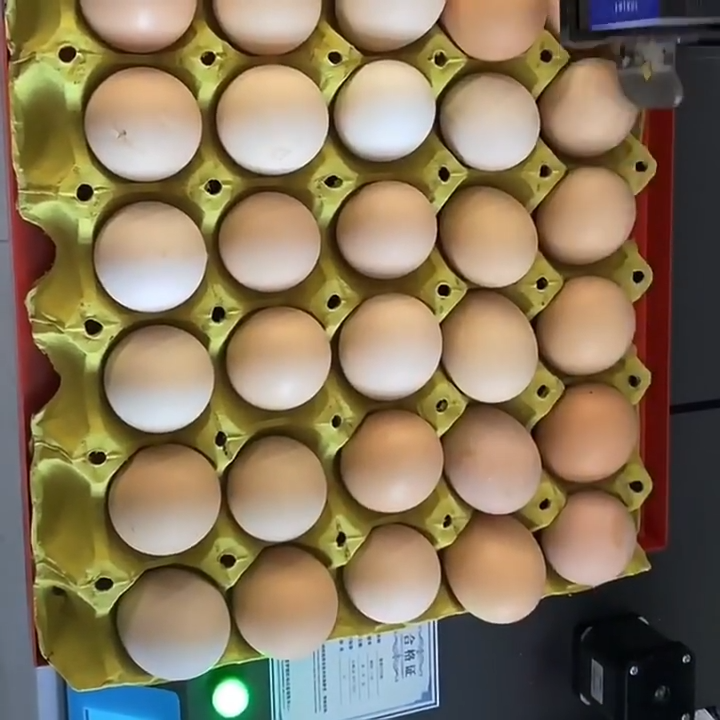 Automatic Desktop Egg Inkjet Printer Duck Pigeon Egg Date Code Printer ...