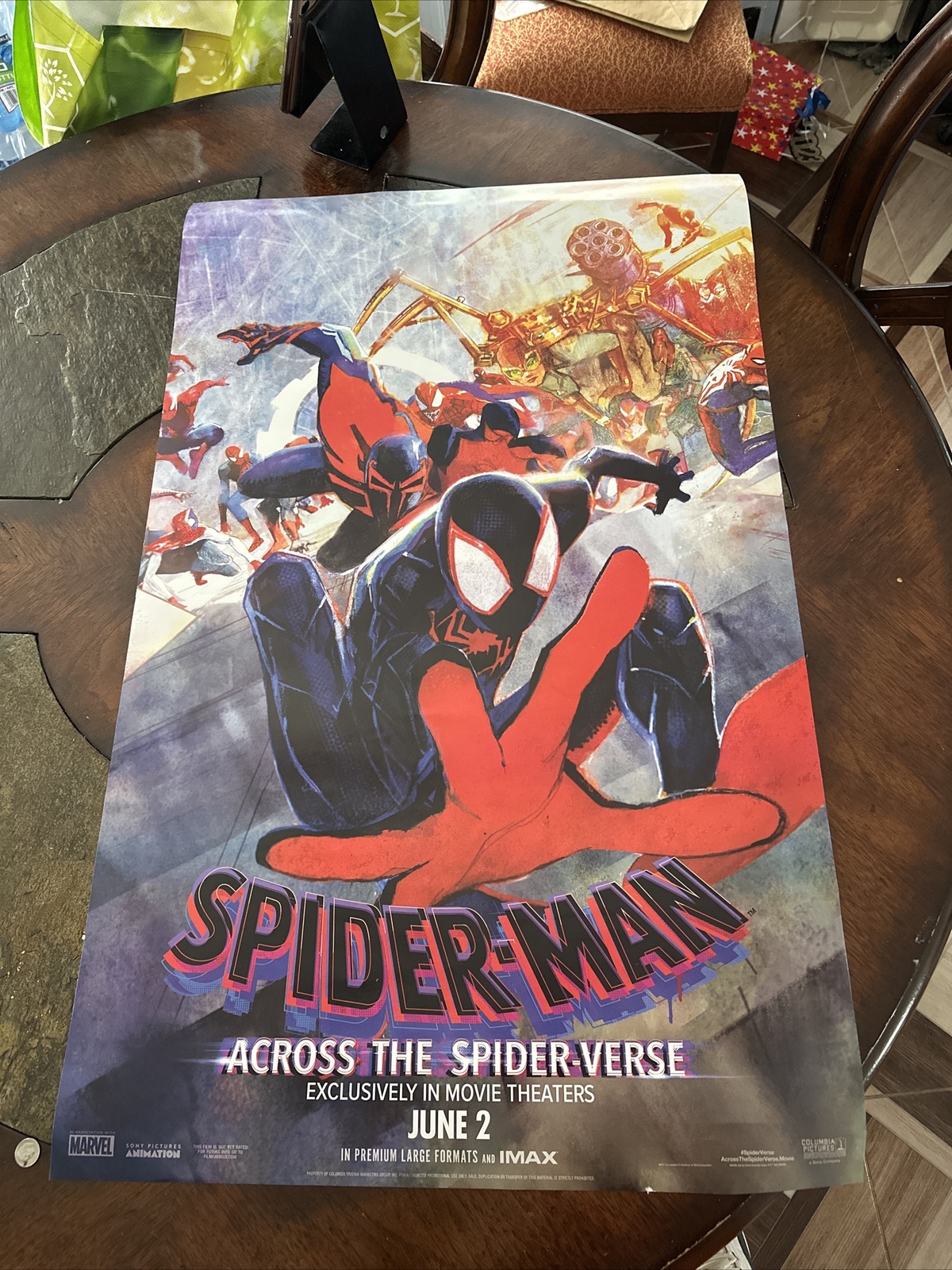 Spider-Man Across The Spiderverse AMC 22x35 Movie Poster Bill ...