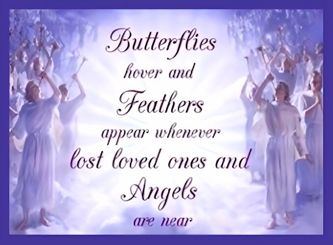 Butterflies And Angels Quotes Butterflies With Inspirational Quote