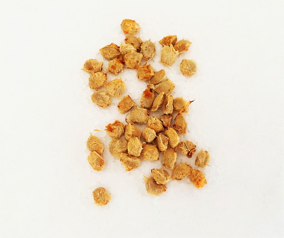 300+ Dried BAEL FRUIT LEAVES Beli Mal Leaf Tea, Bilva, Bel Patri- Aegle ...