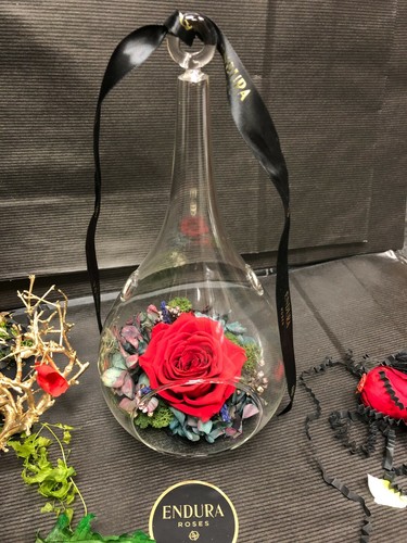 Lure By Endura Roses 100% Natural Preserved Last Upto 3 years | eBay UK