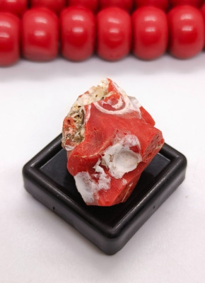 Old Big Red Coral Loose Rough-Natural Italy Red Coral Loose Rough ...
